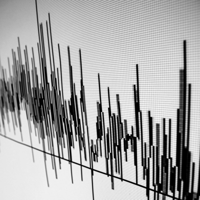 EMF Home Adapter | Safe Space Solutions EMF Adapter